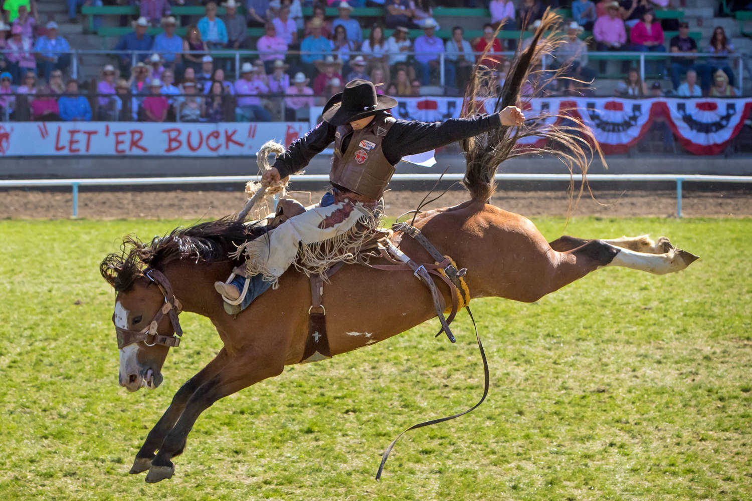 'Let ‘Er Buck!' - AOPA