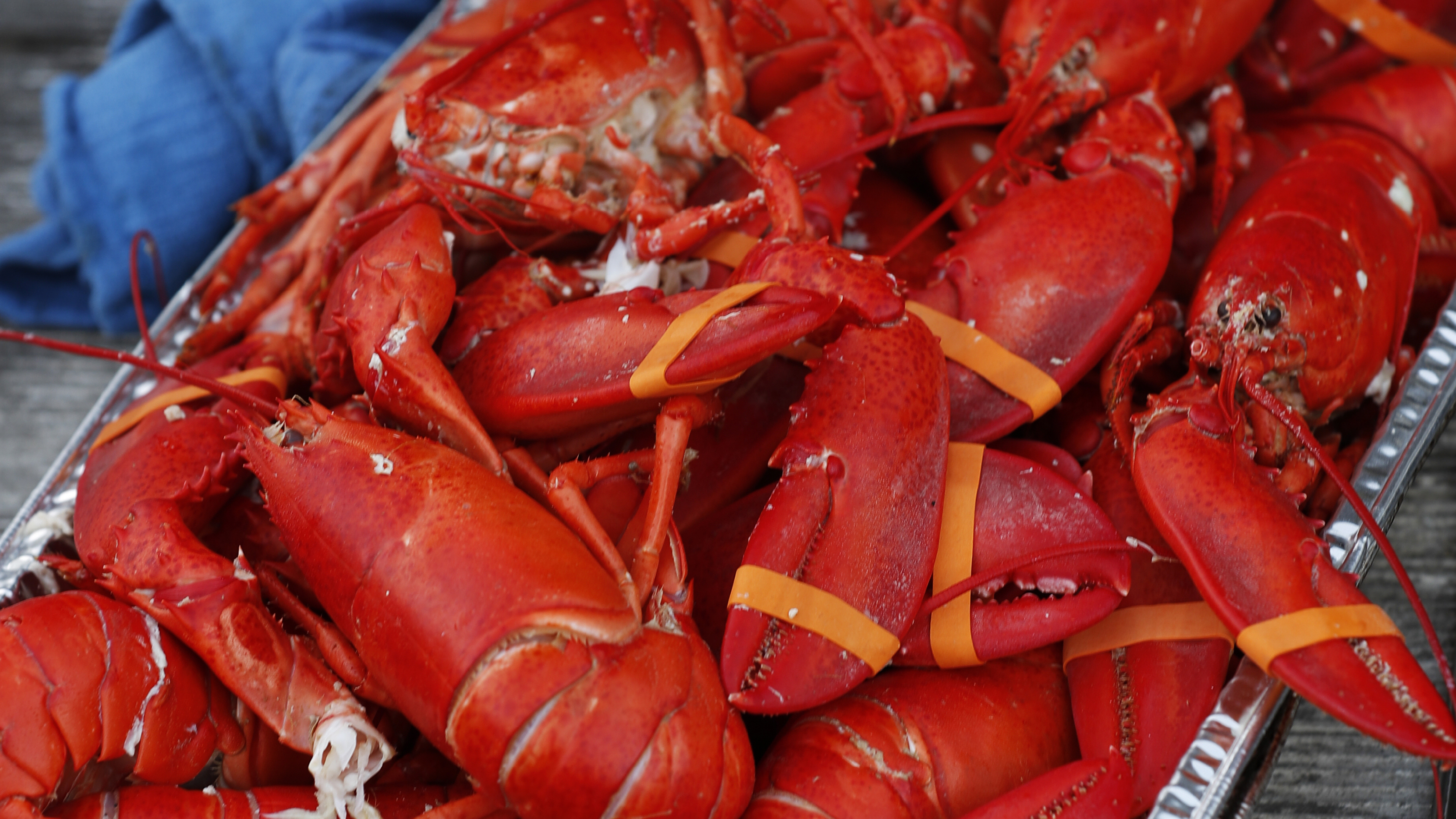 Making a splash - AOPA