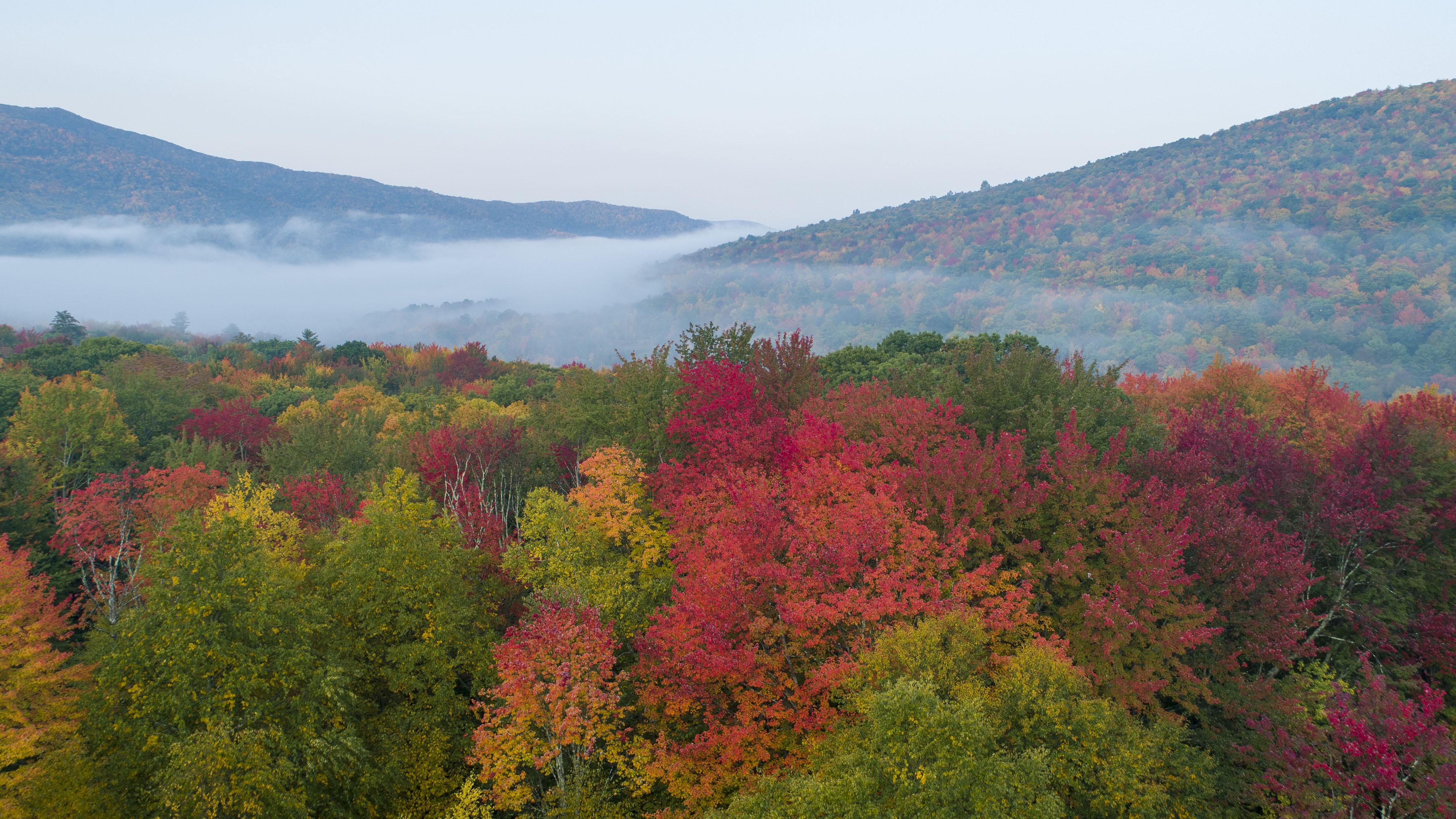 Fly to the best fall foliage, must-see autumn events - AOPA