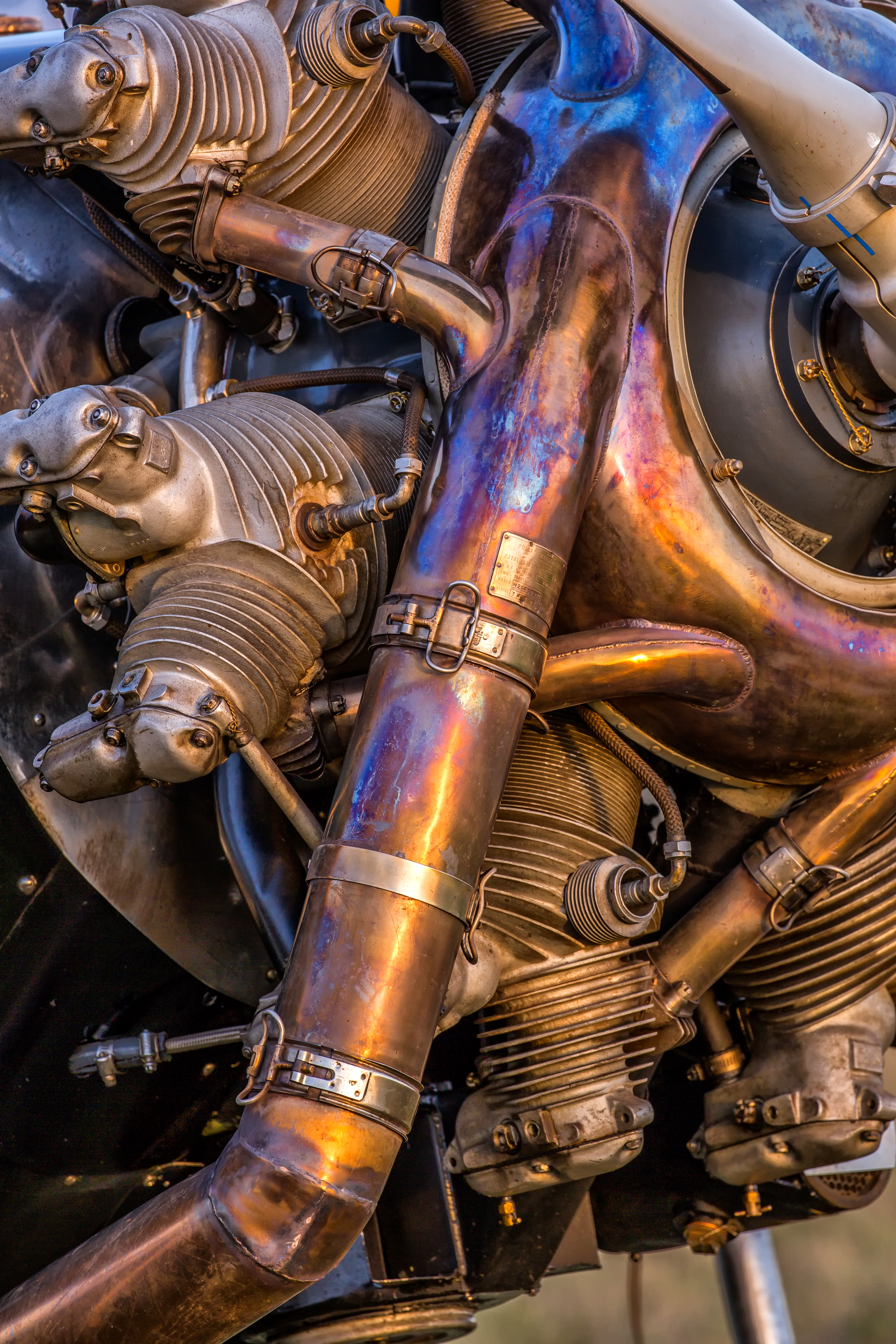 The last unicorn - AOPA