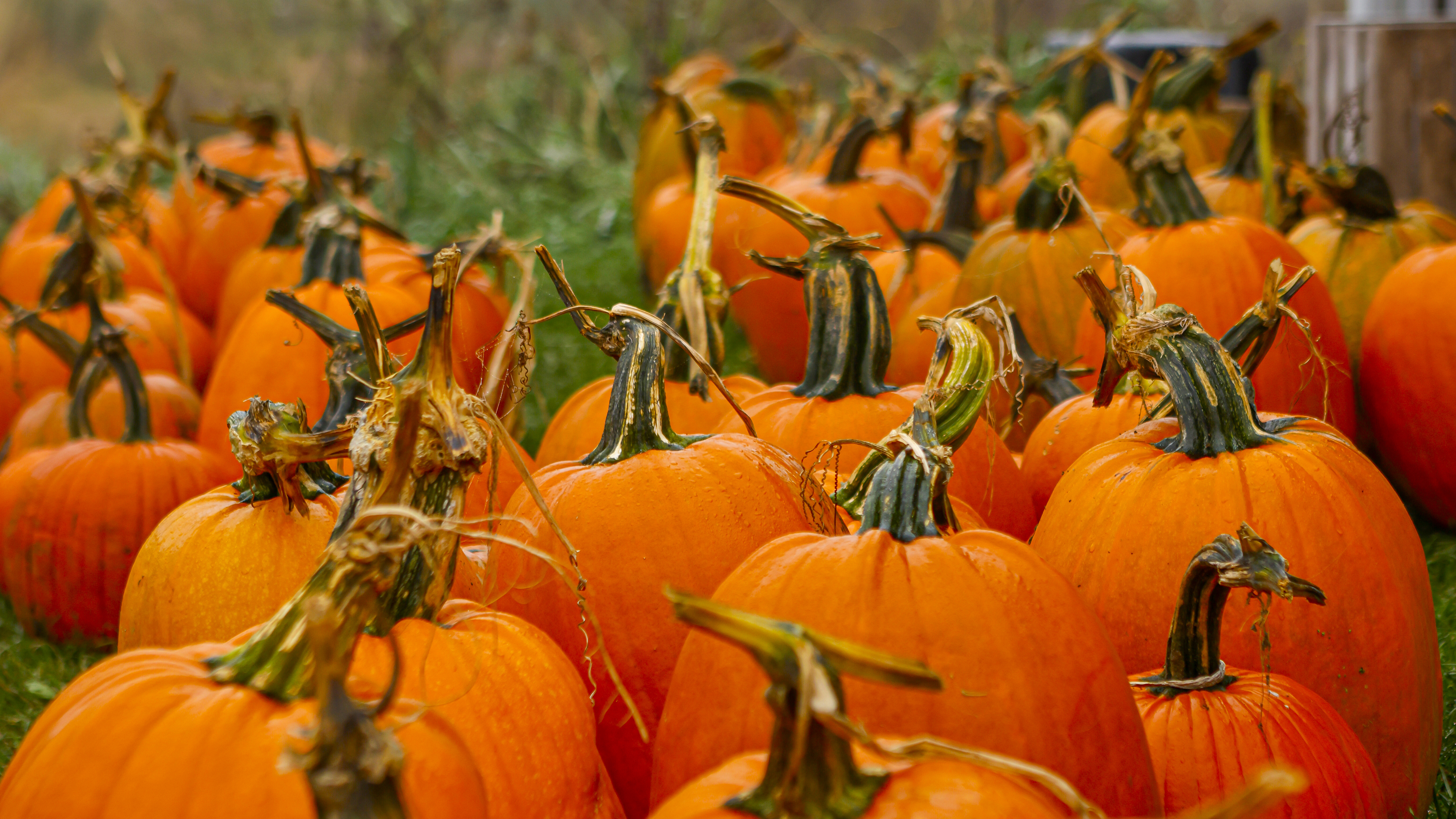 Fall flying in northern Michigan - AOPA