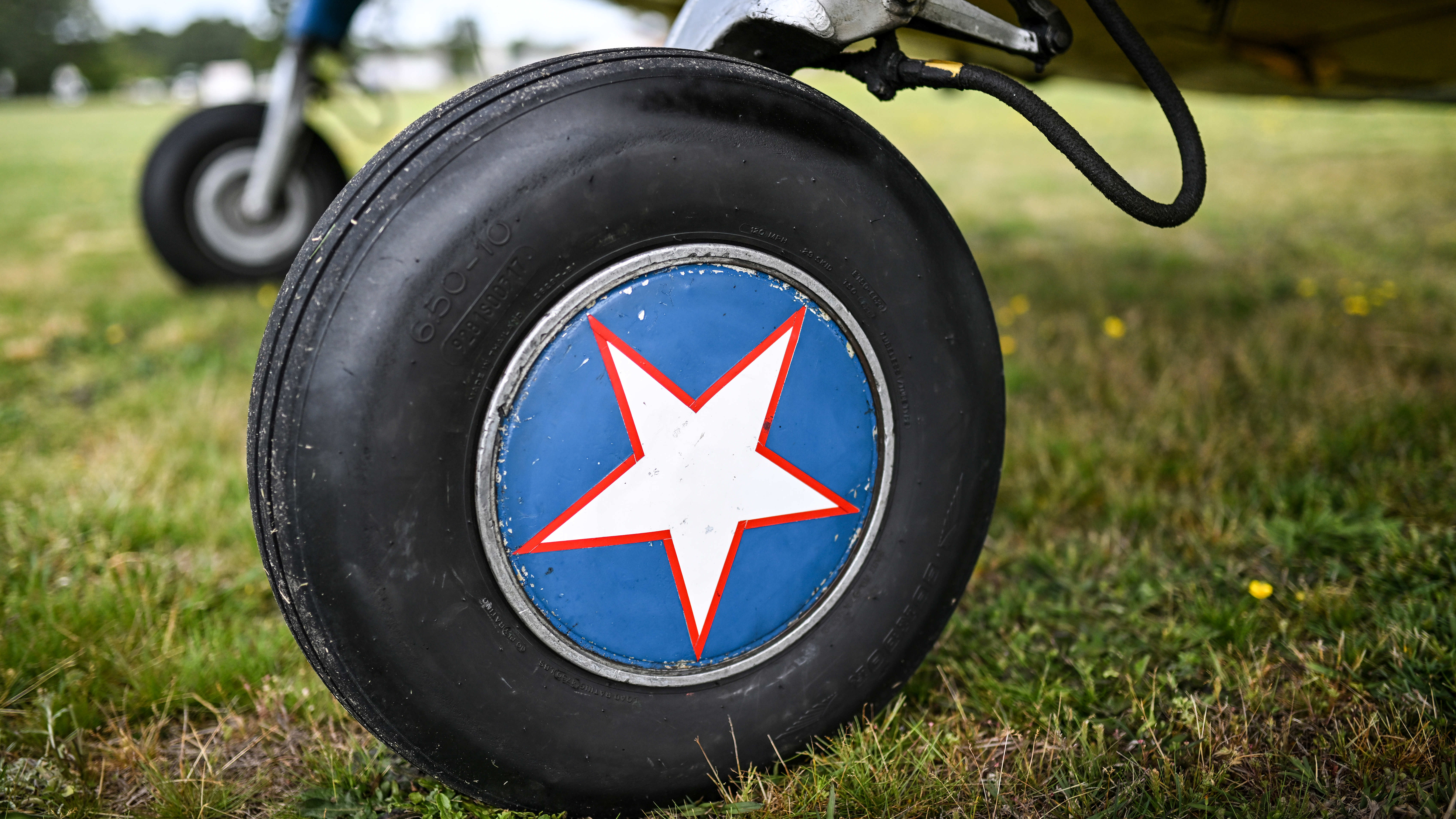 Endangered species - AOPA