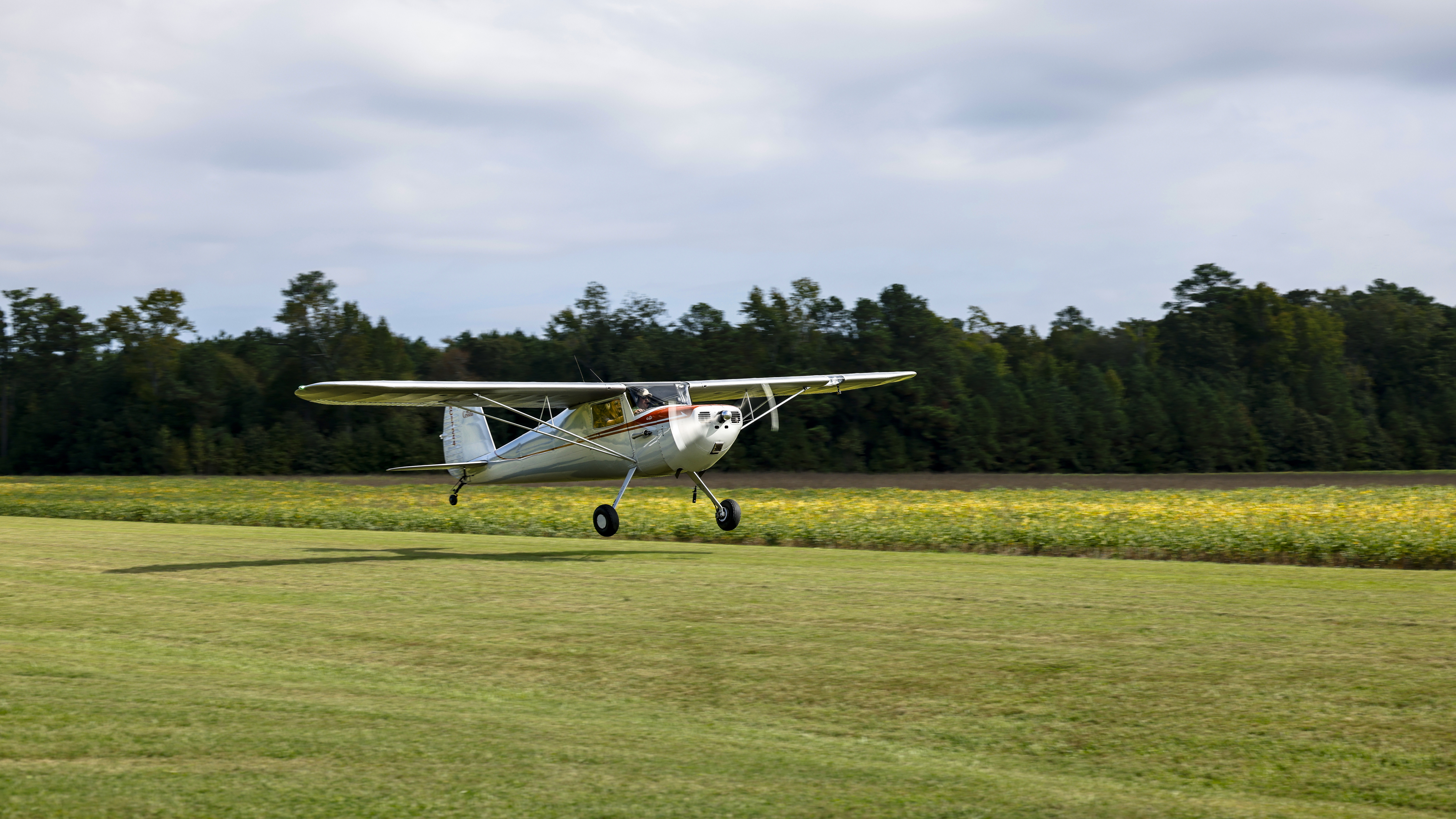 Classic champion - AOPA