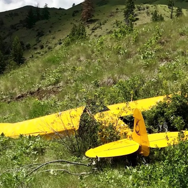 Real Pilot Story from the Field: No Go-Around - AOPA