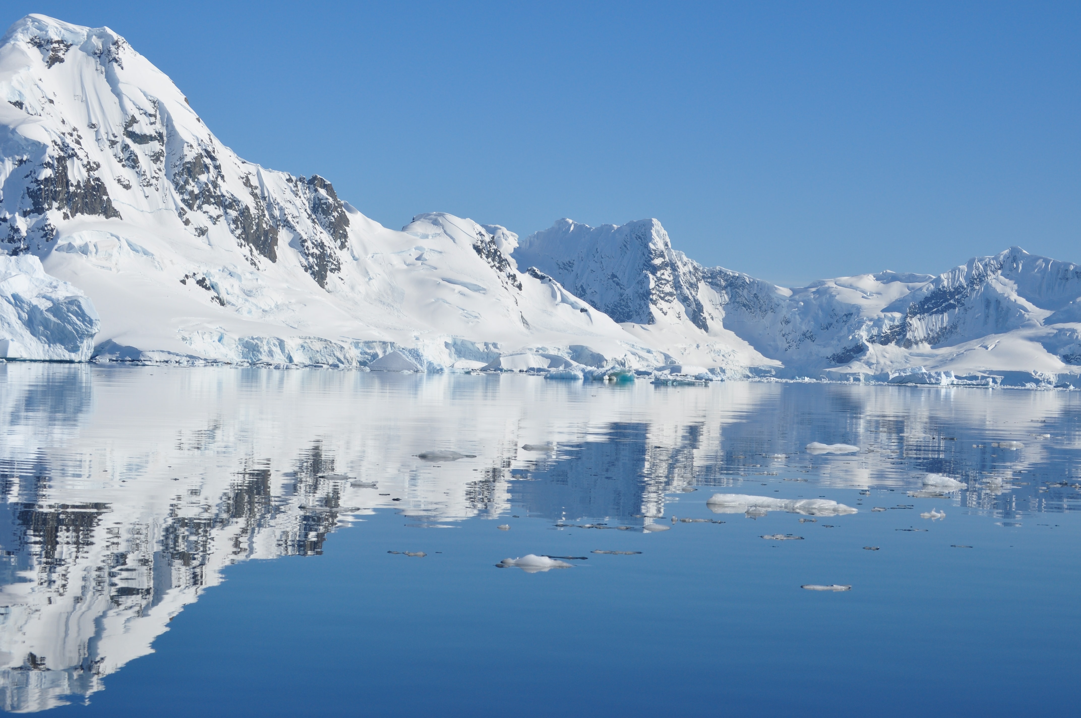 Top BasicMed renewal questions answered - AOPA