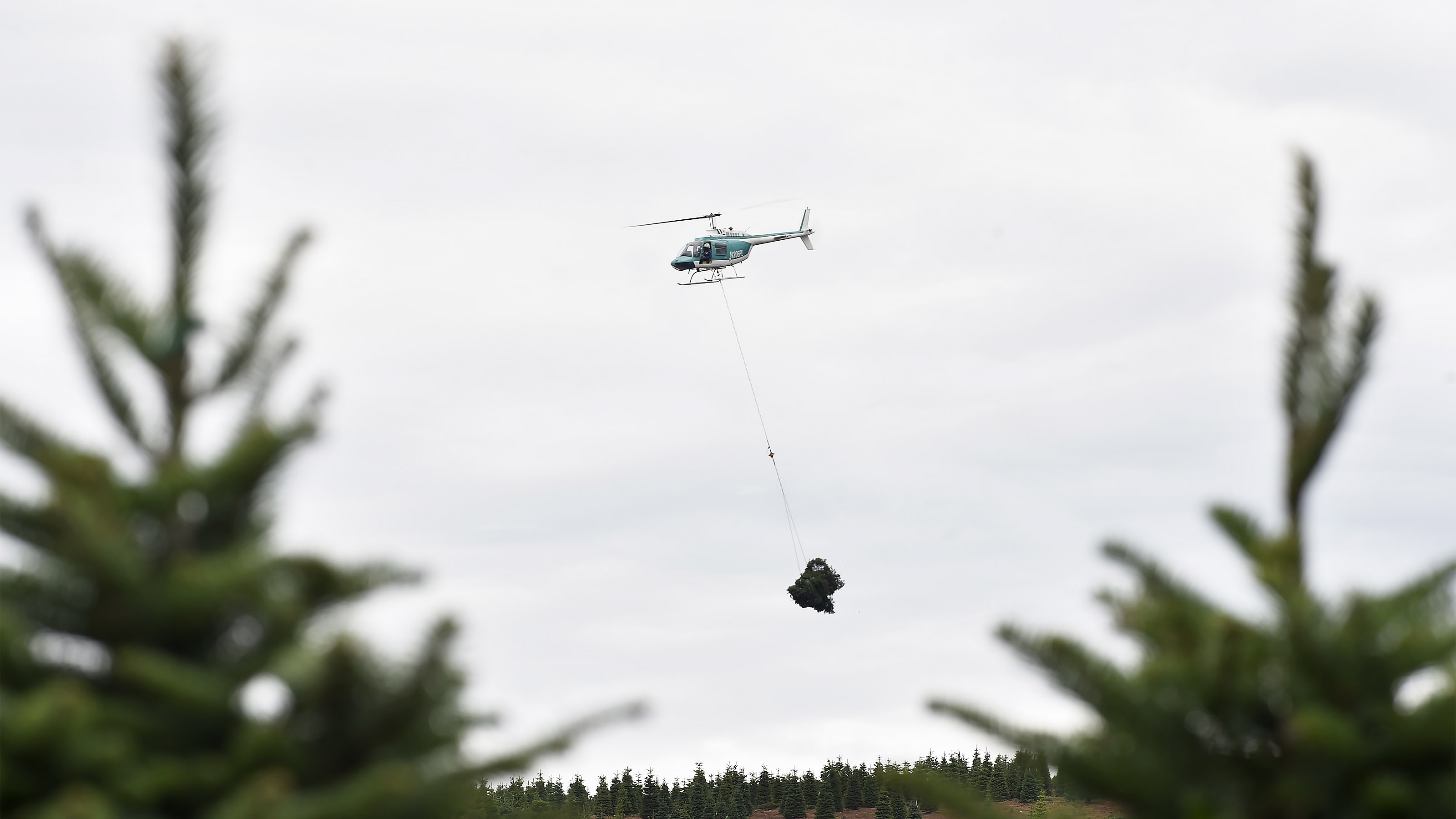 Helicopter harvest spreads cheer - AOPA