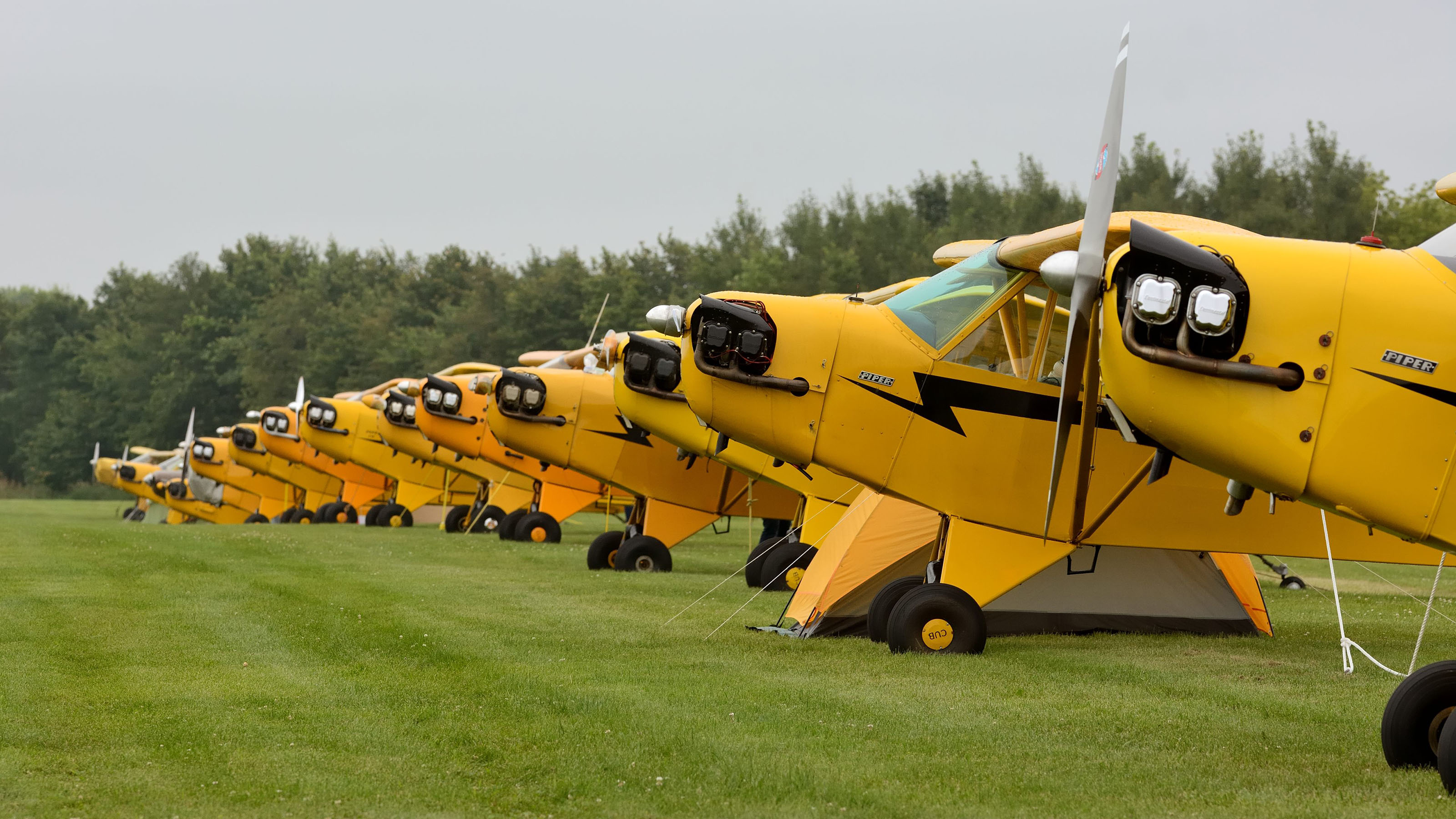 Cub owners celebrate 80 years - AOPA