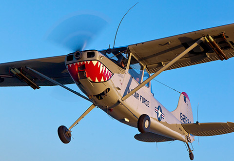 Cessna L-19 Bird Dog: A soldier's best friend - AOPA