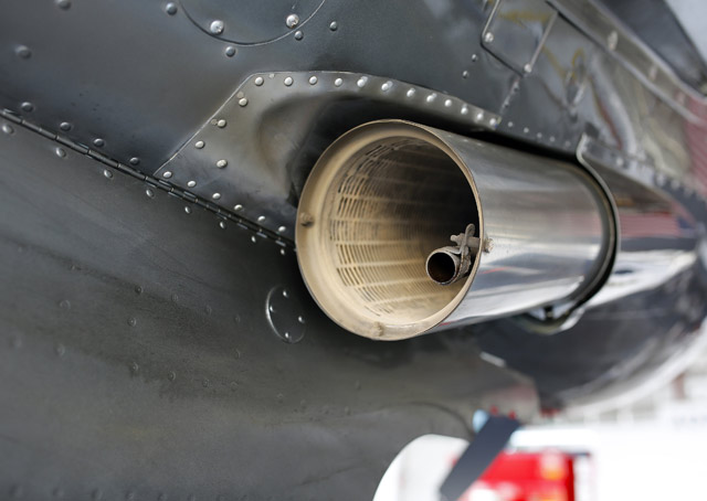 Man's best friend - AOPA